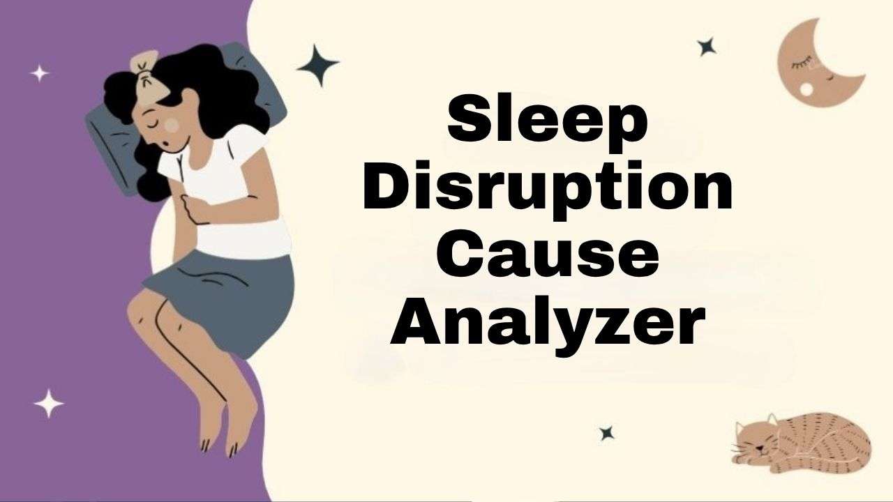 Sleep Disruption Cause Analyzer Plan